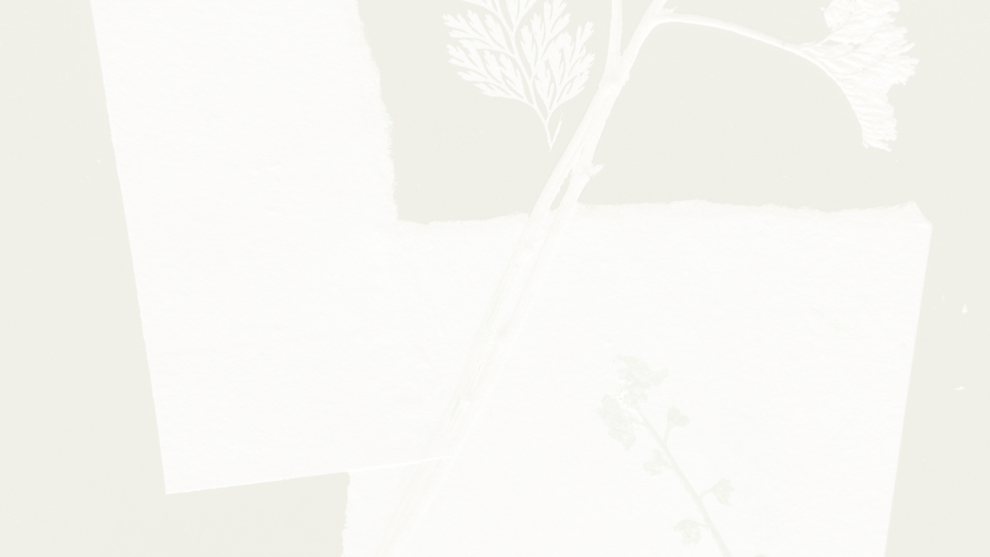 Breakfast | Belvedere Bellagio